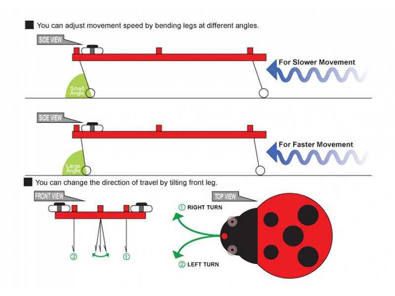Sliding Ladybug - Vibrating Action