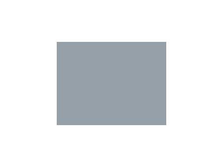 Flat Light Ghost Gray FS36300-