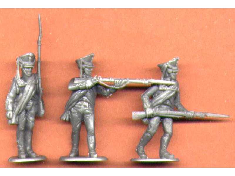 Napoleonic Russian Musketeers - Action