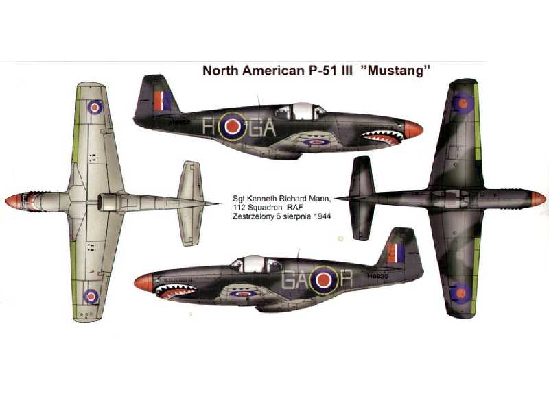 North American P-51 III Mustang - Malcolm Hood