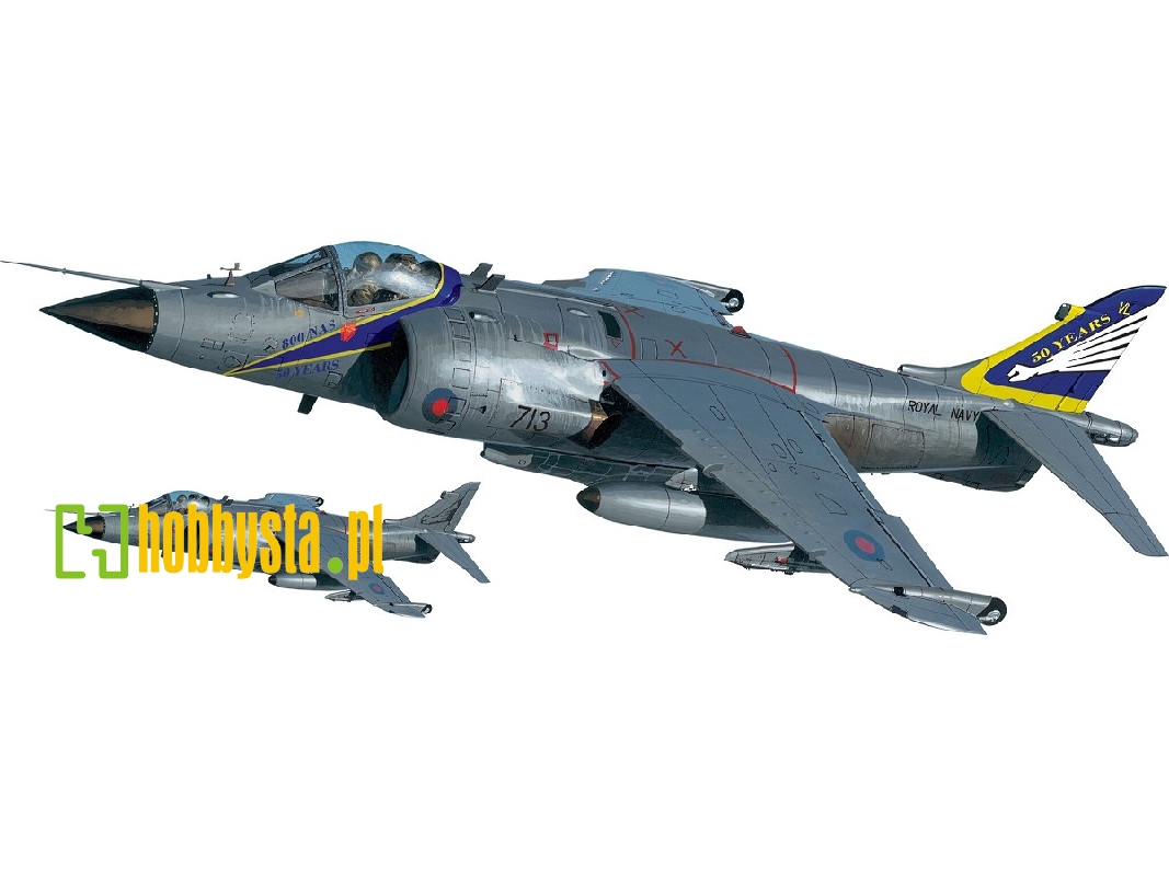 Harrier Frs.1 '50 Years 800 Nas'