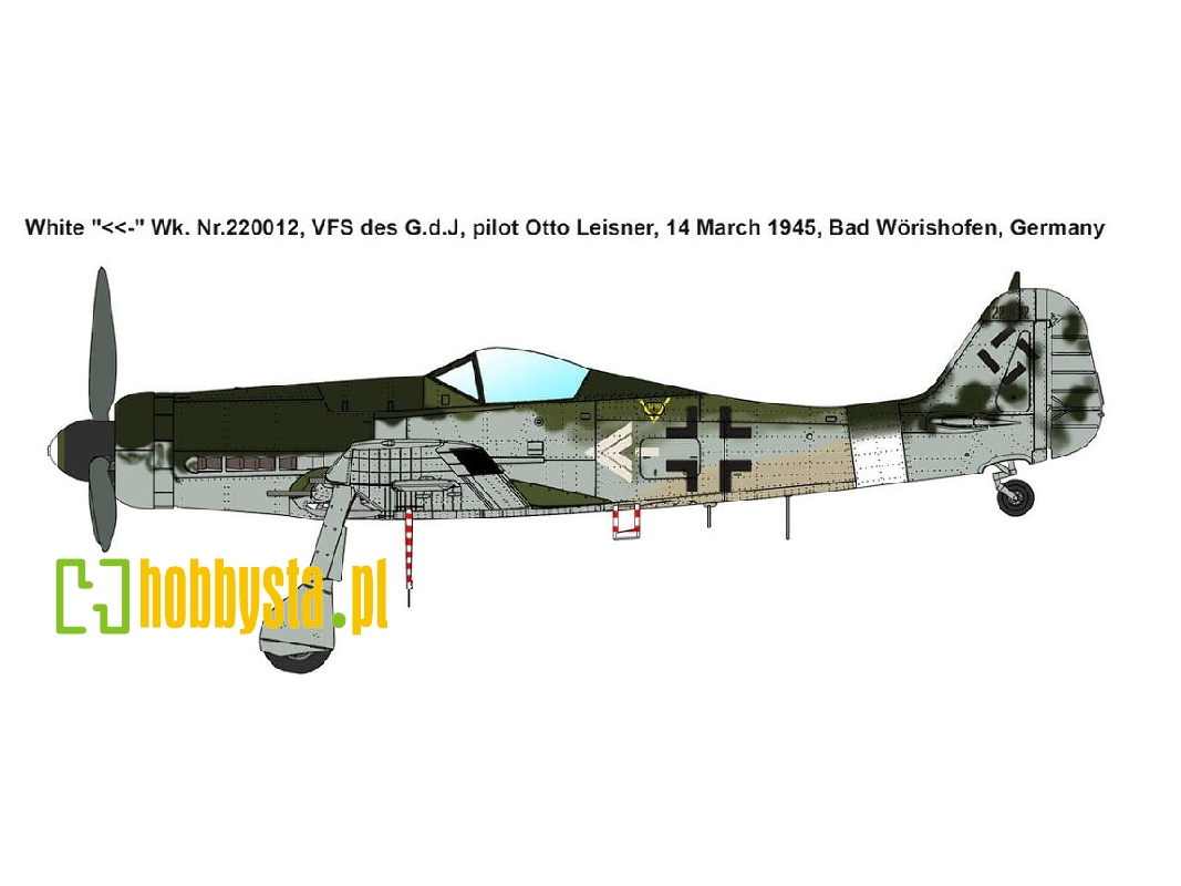 Focke-Wulf Fw 190D-11 Sorau Factory Series