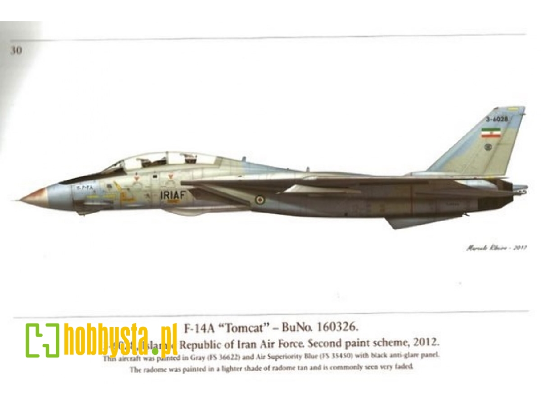 Grumman F-14 Tomcat