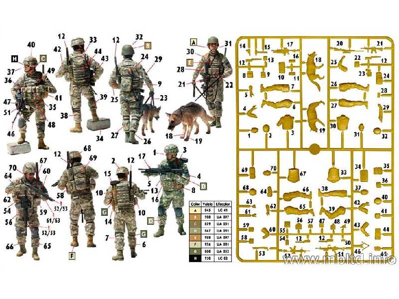 Modern US infantrymen. Cordon and Search
